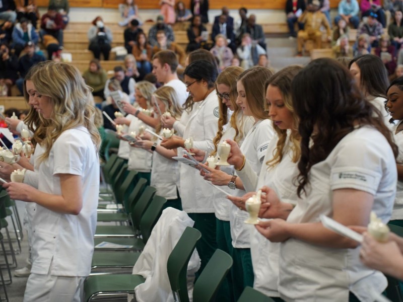 Abraham Baldwin Agricultural College nursing program honors top ...