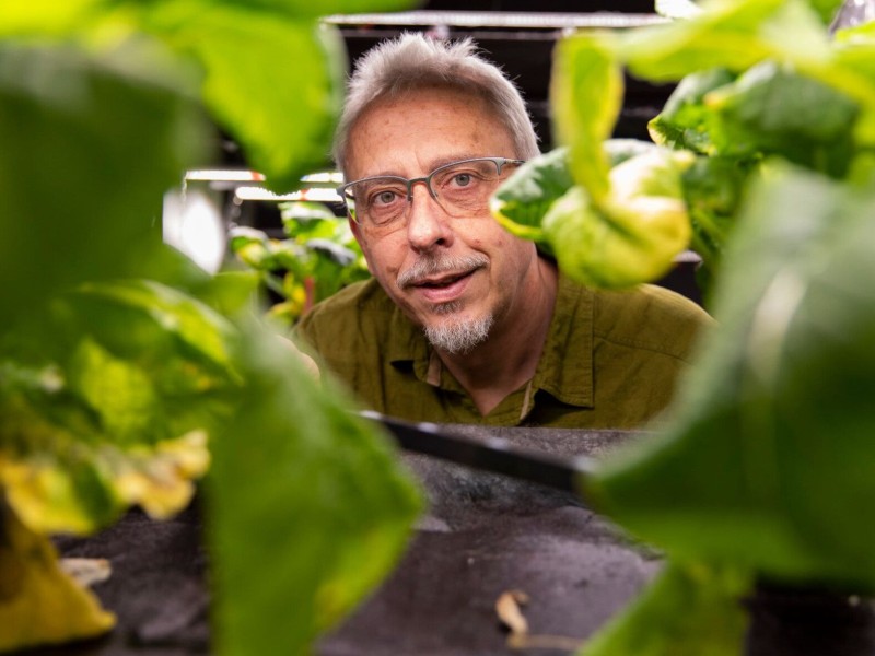 CAES alum to expand food production through controlled environment ...