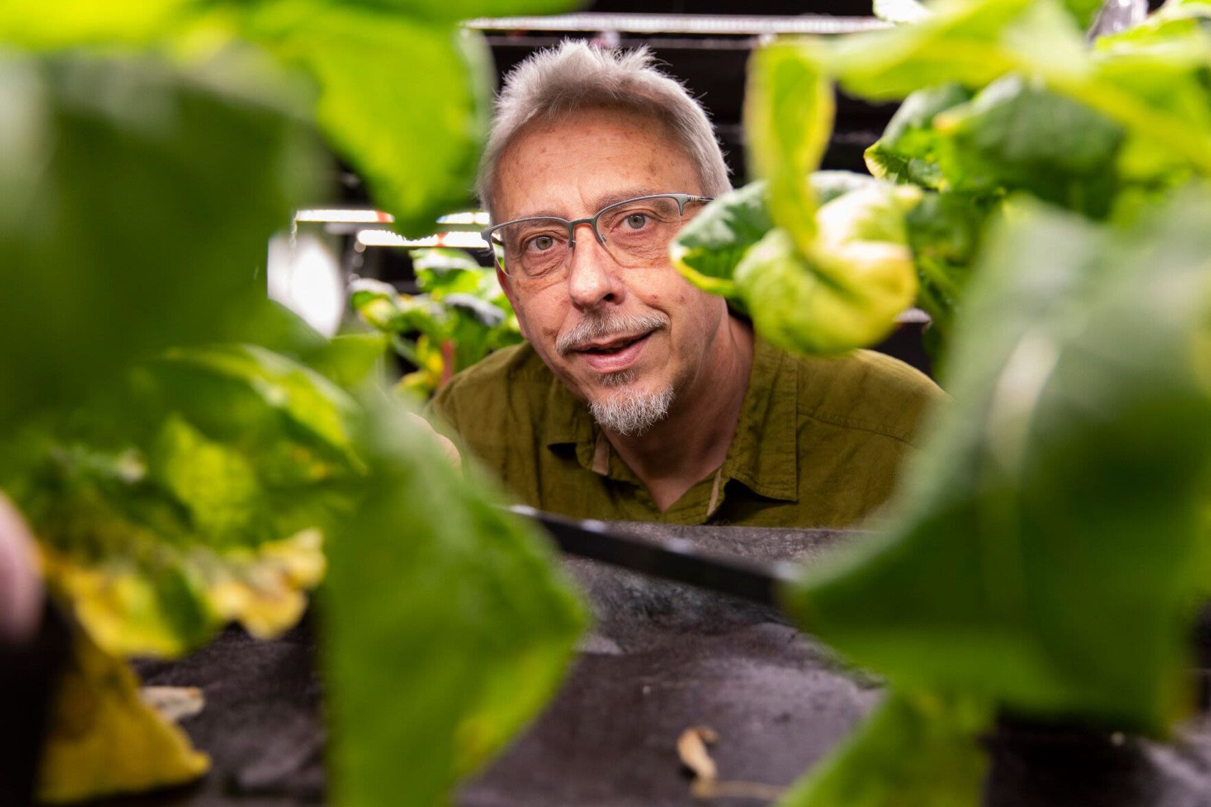 CAES alum to expand food production through controlled environment ...