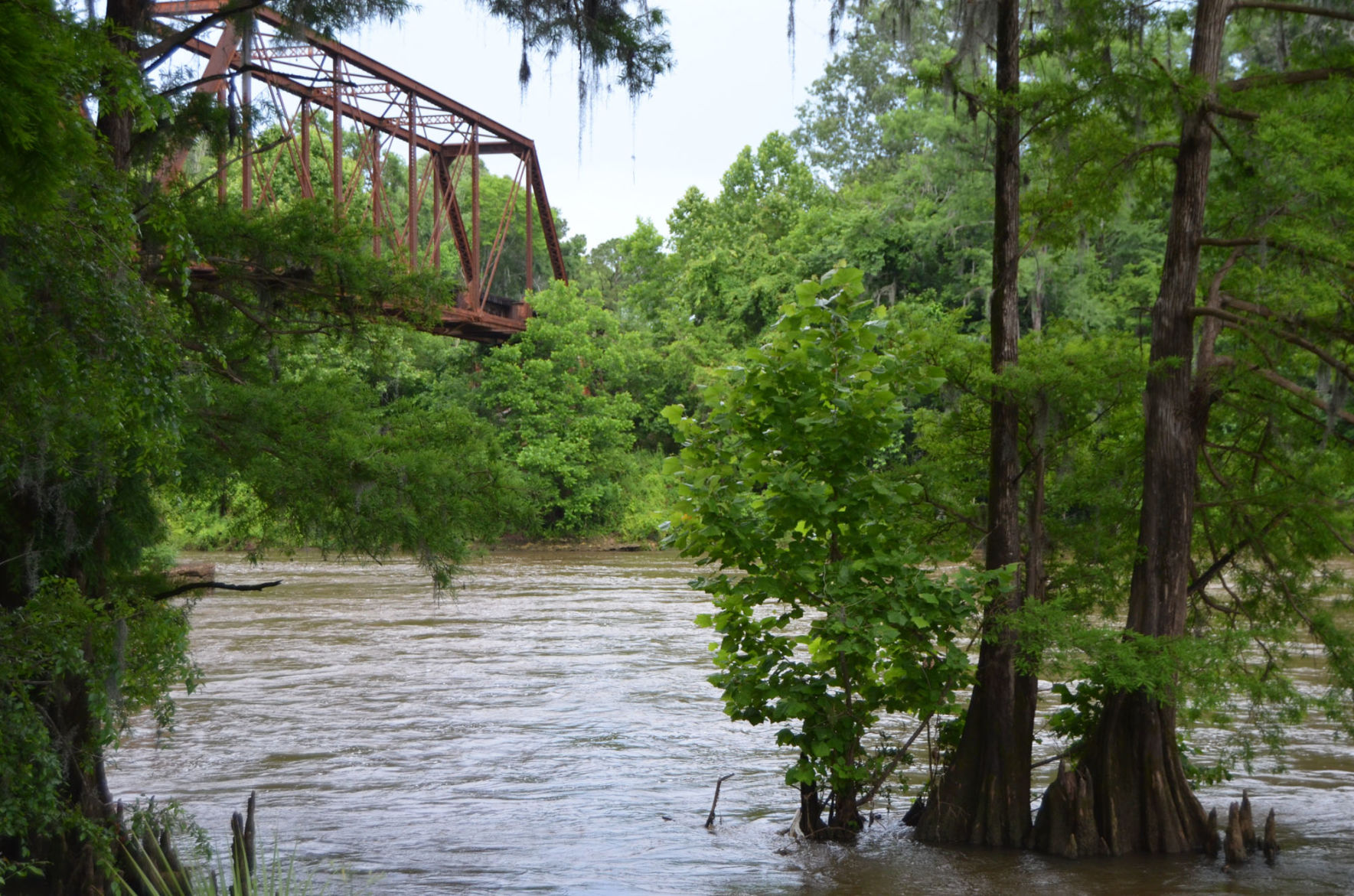 Georgia Water Coalition marks 50th anniversary of Clean Water Act ...