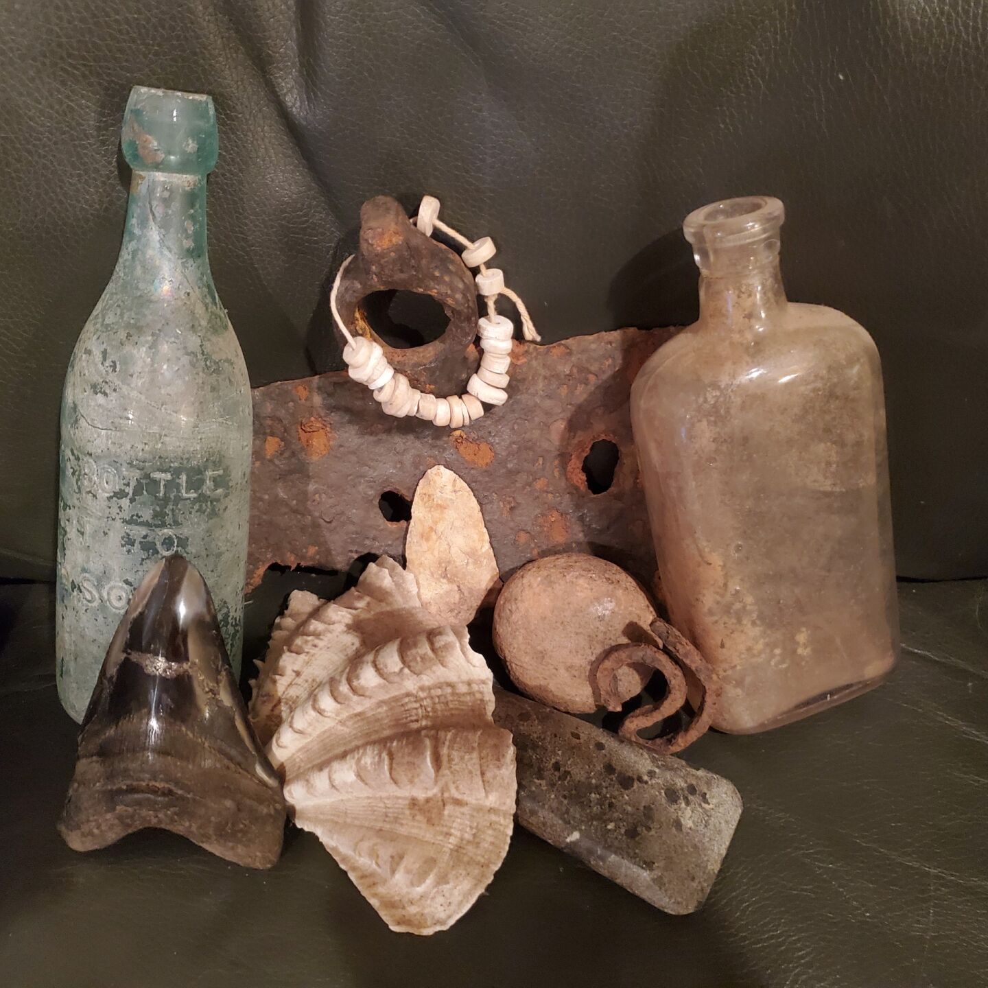 Fossils reveal various environments of southwest Georgia region ...