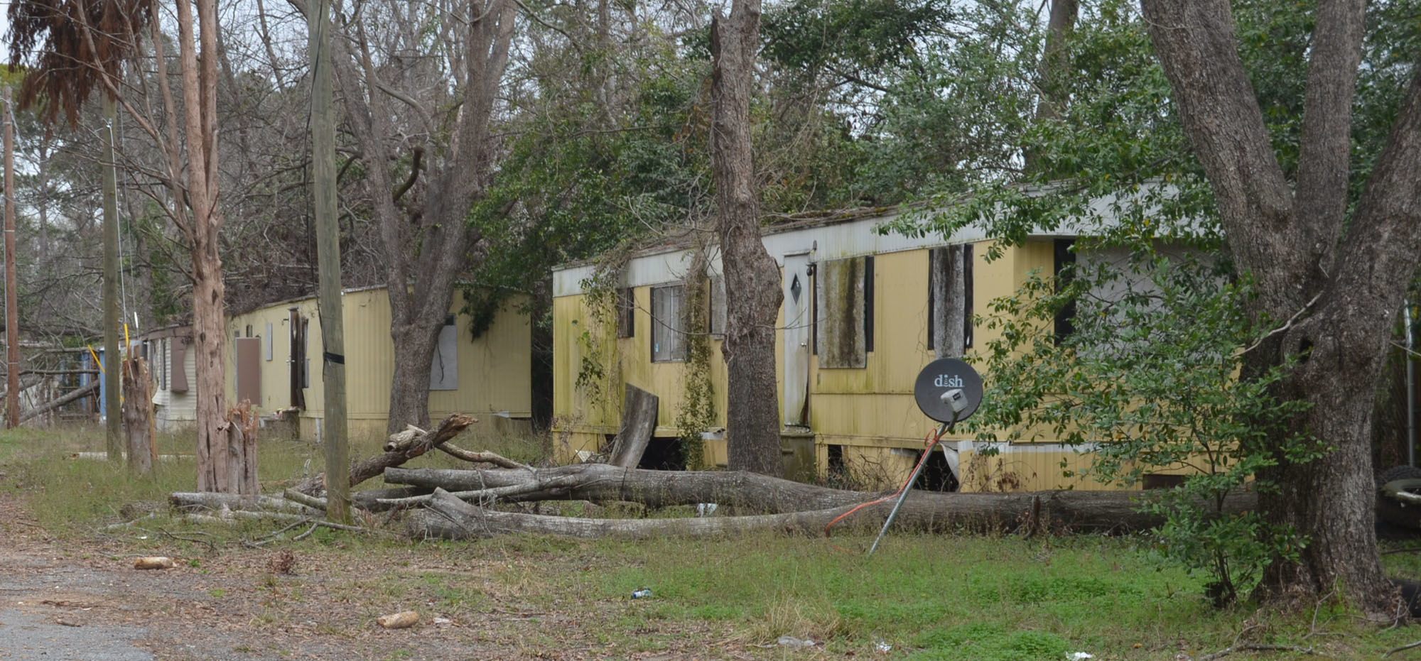 Georgia announces Disaster Temporary Assistance for Needy Families in ...