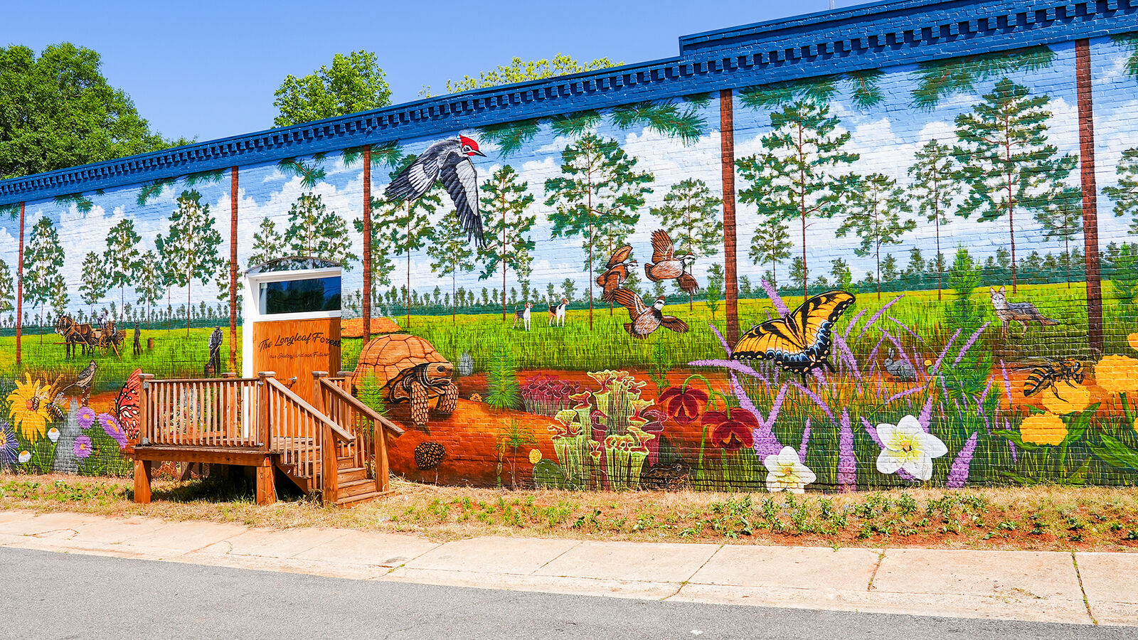 Rural Murals: UGA plan highlights public art to drive tourism, economic ...