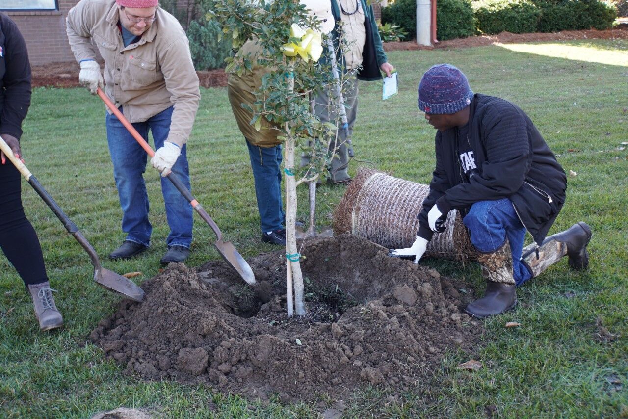 Albany Tech plans tree-planting; maintains Tree Campus USA designation ...