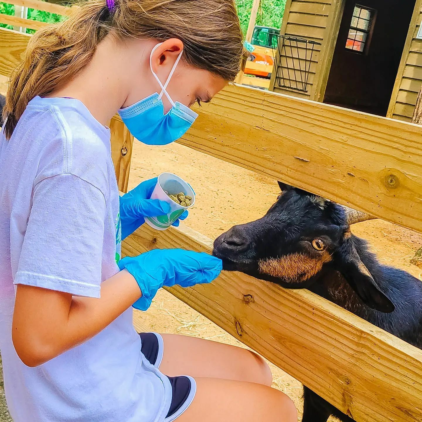 Weekends are wild at Chehaw Park & Zoo – Albany Herald