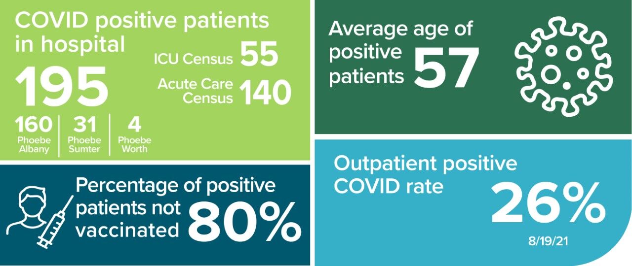Numbers 'behind the numbers' from Phoebe show vaccines best defense ...