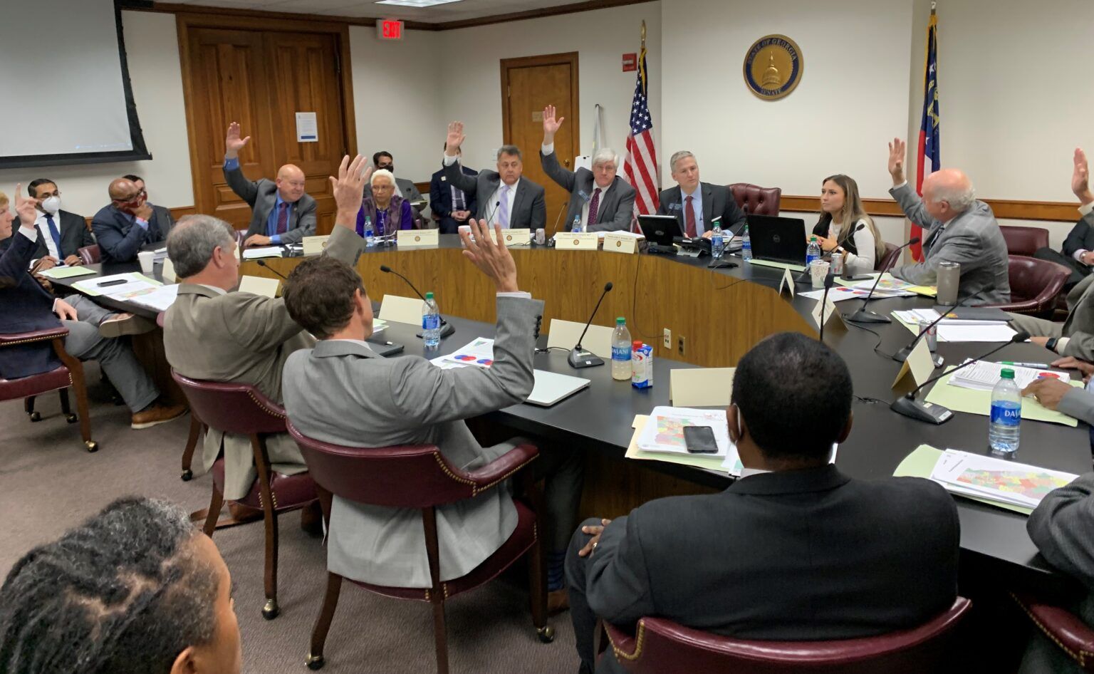 New Georgia Senate map clears redistricting committee – Albany Herald