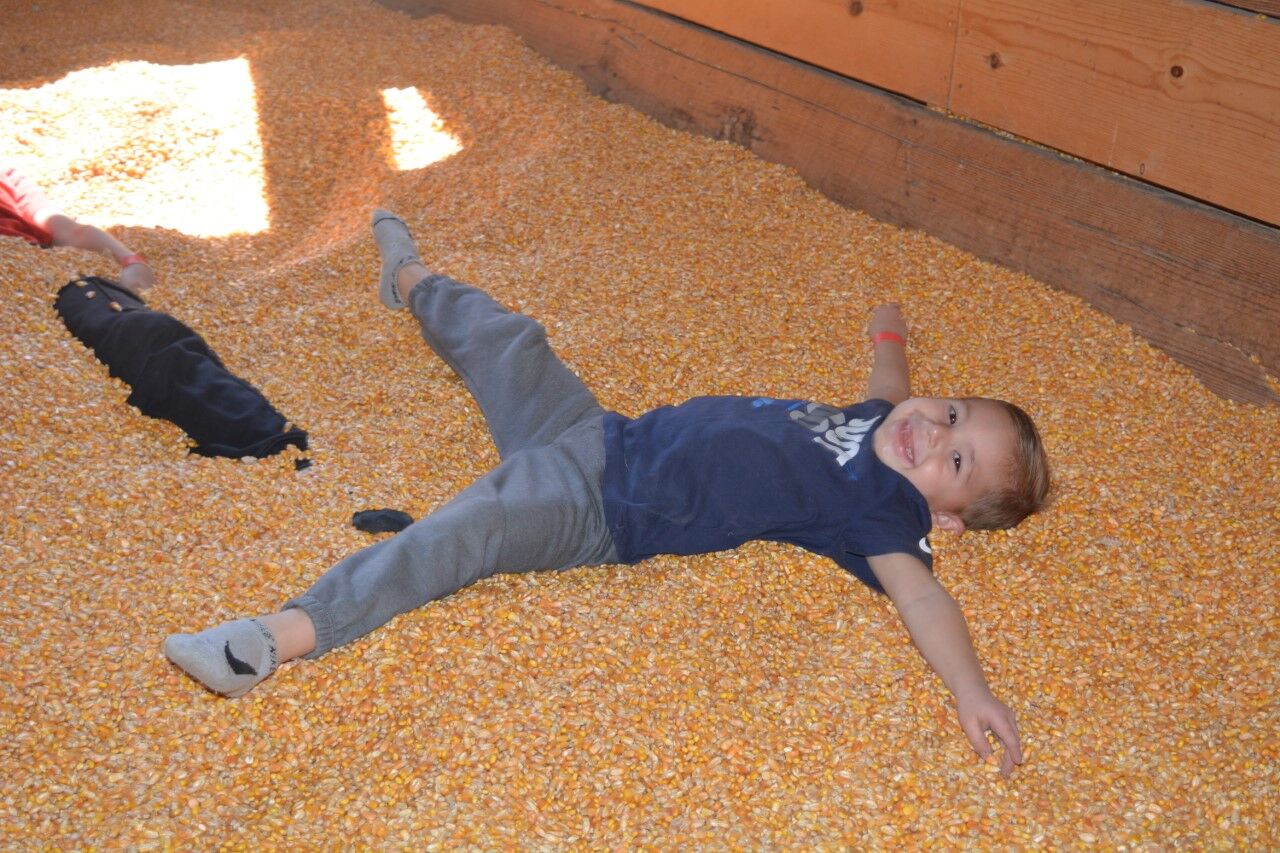 Children of the corn? – Albany Herald