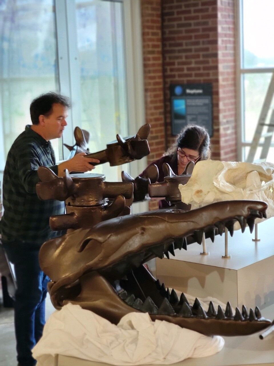 Thronateeska prepares for Museum MAYhem – Albany Herald