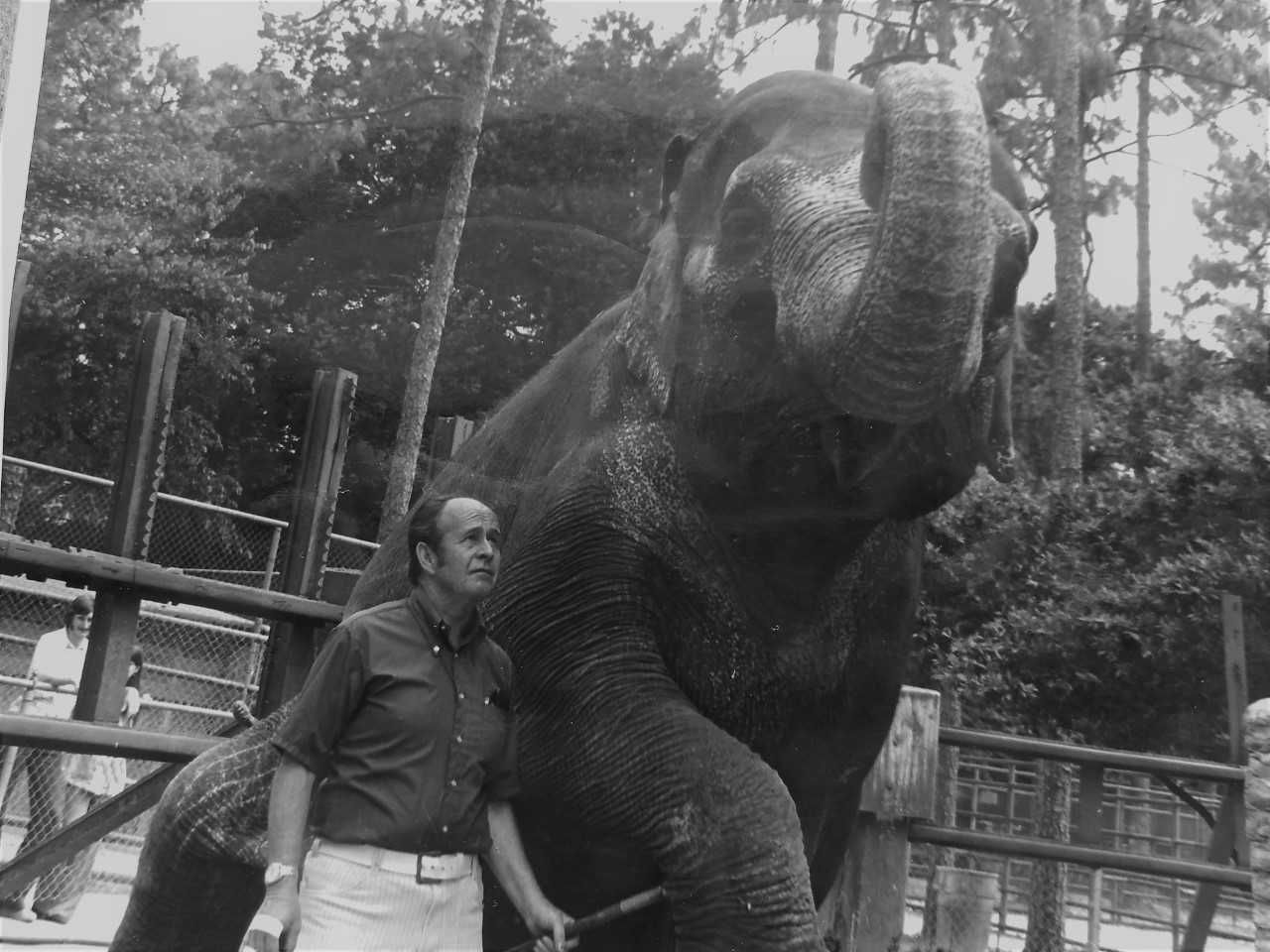Memories of Tift Park Zoo fading with time – Albany Herald