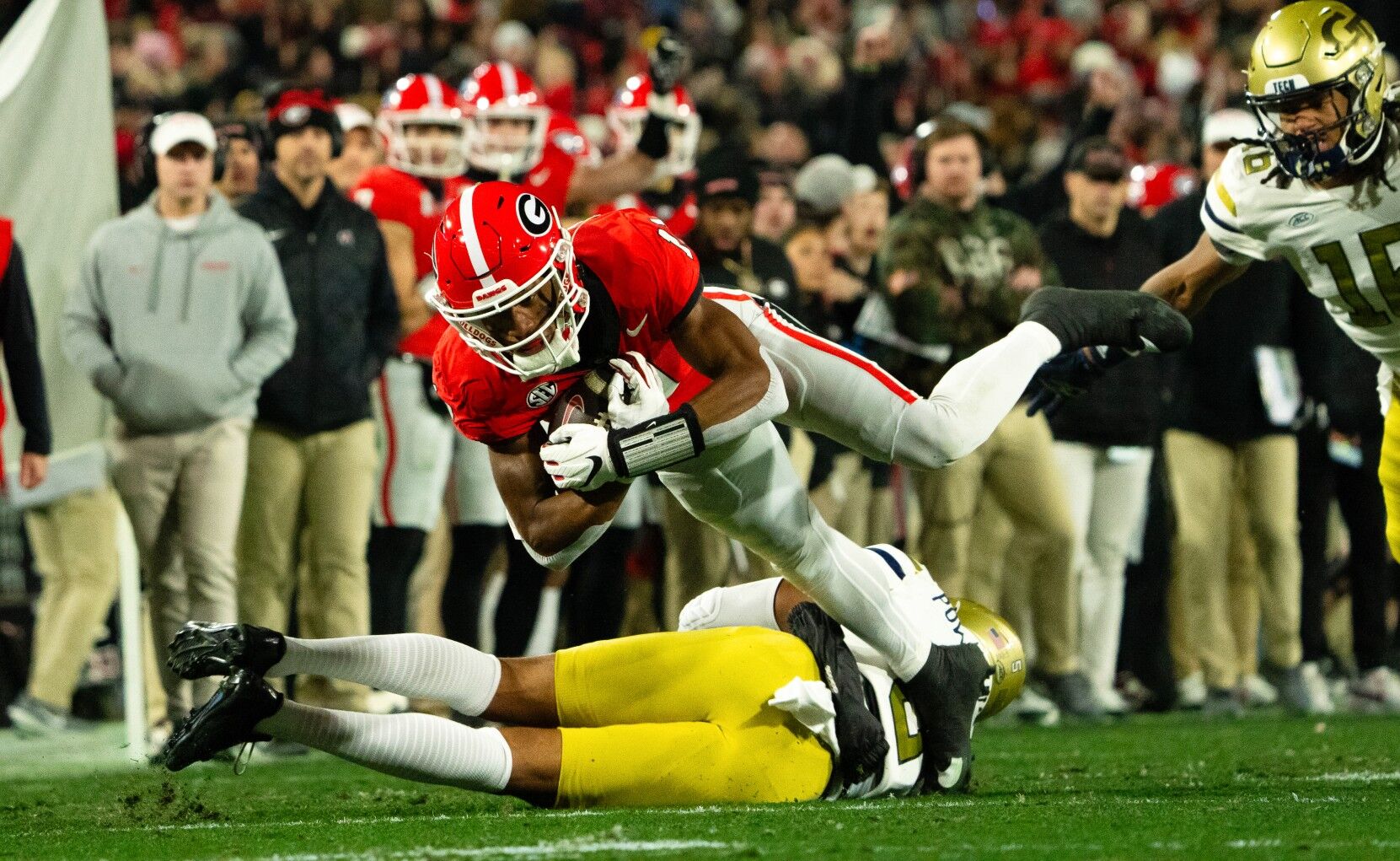 PHOTOS: Georgia vs. Georgia Tech Between the Hedges – Albany Herald